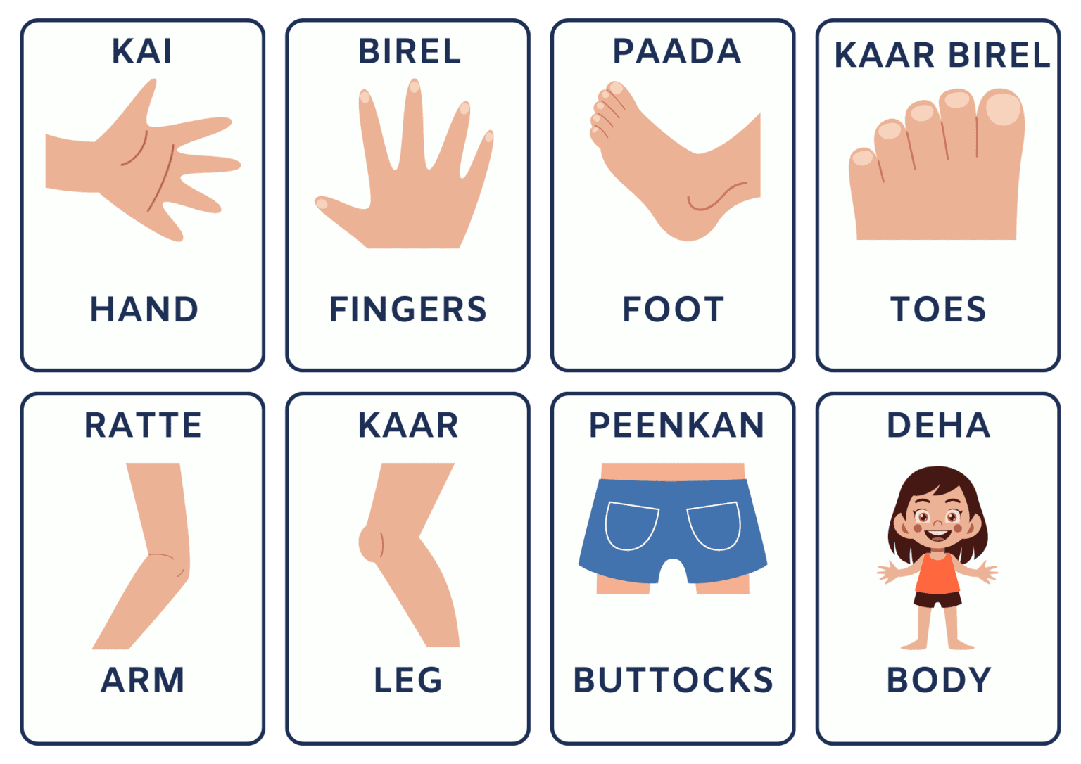 Tulu Flash Cards for Body Parts - Bale Tulu Kalpuga
